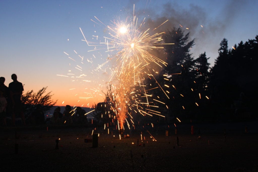 Bang! Boom! Pop! Tips For Helping Your Pets Cope With Fireworks ...